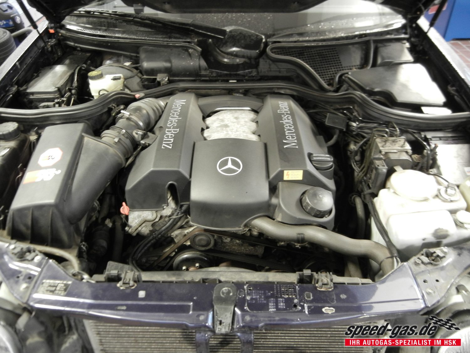 Mercedes Benz E-240 W210 - speed-gas.de